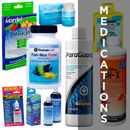 Fish Medications – Puddle Aquatics