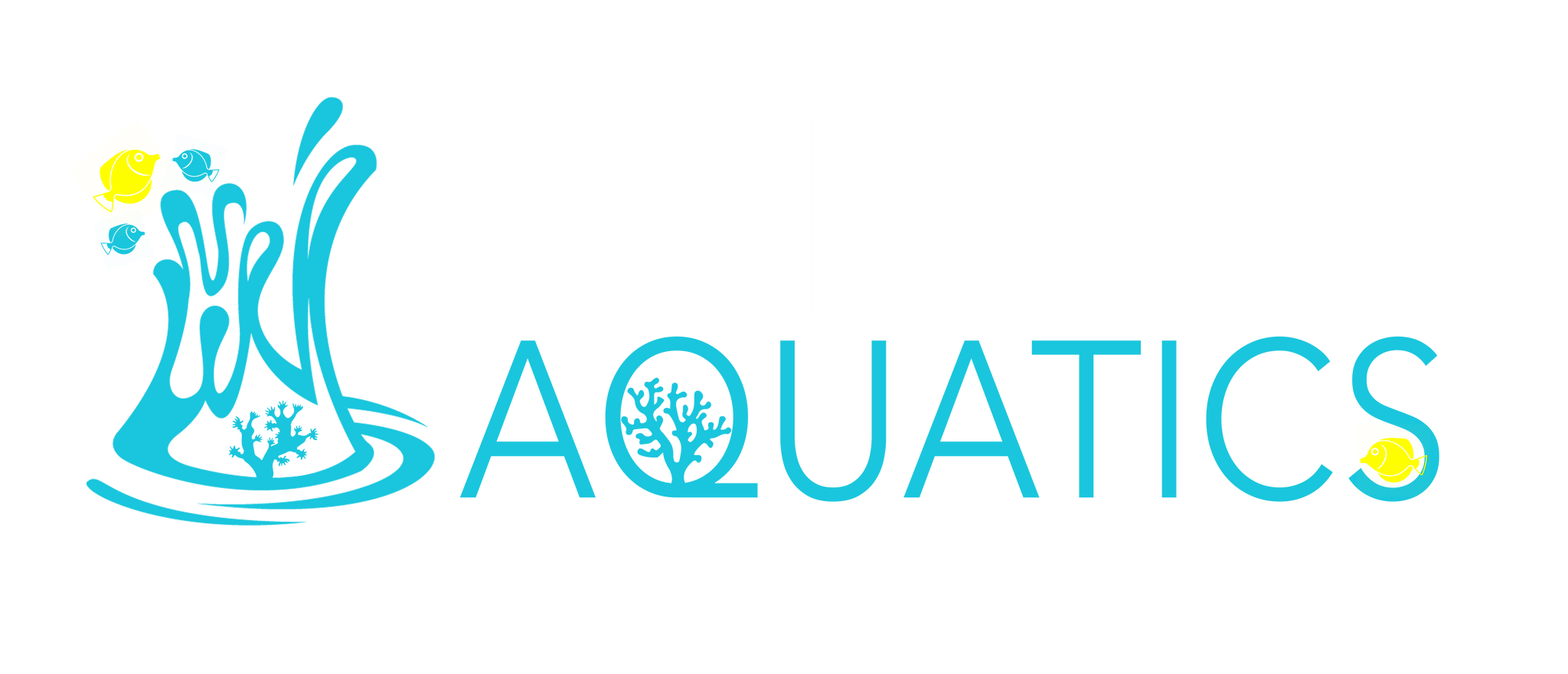 Puddle Aquatics